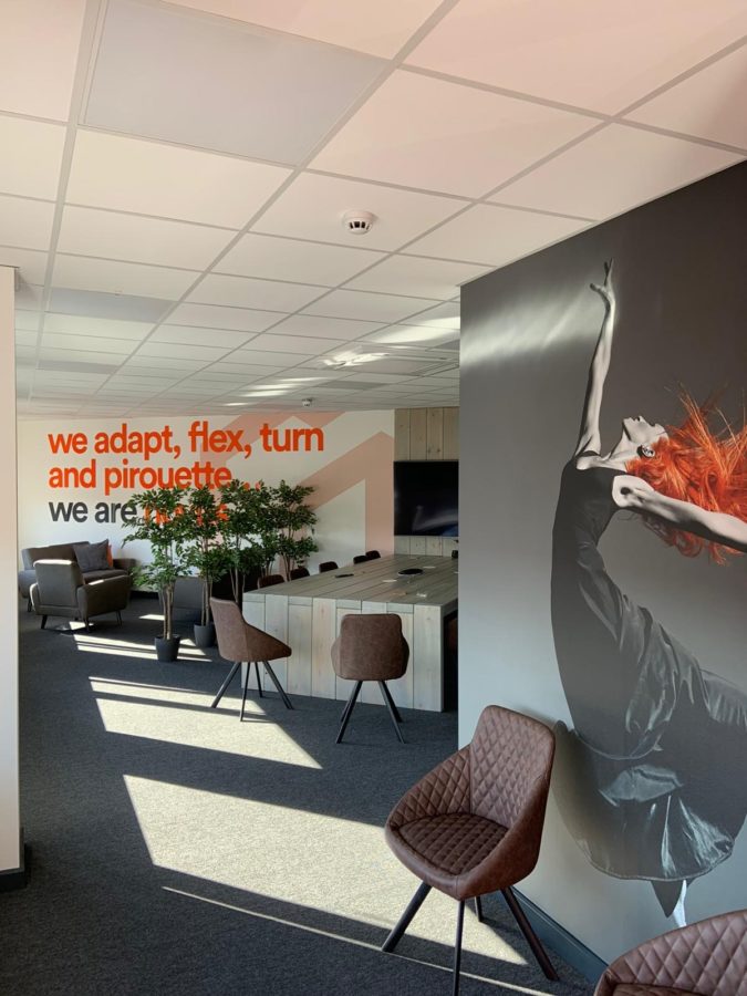 Novus Office Graphics Birmingham | Hollywood Monster